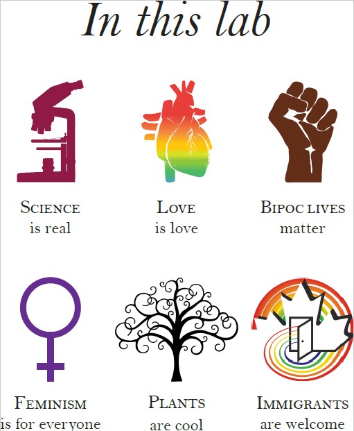 Join the lab – Julie Messier